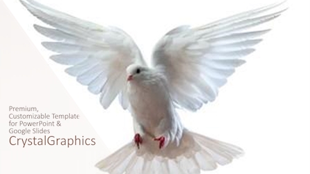 White Dove Powerpoint Backgrounds