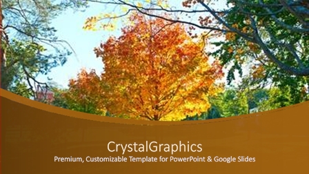 4 Best Neighborhood Social-Themed Templates for PowerPoint & Google Slides