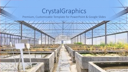 5 Best Plant Breeding-Themed Templates for PowerPoint & Google Slides