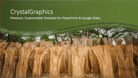 496 Best Forest-page-12-Themed Templates for PowerPoint & Google Slides