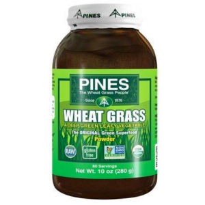 Bodo saltans culture protocol