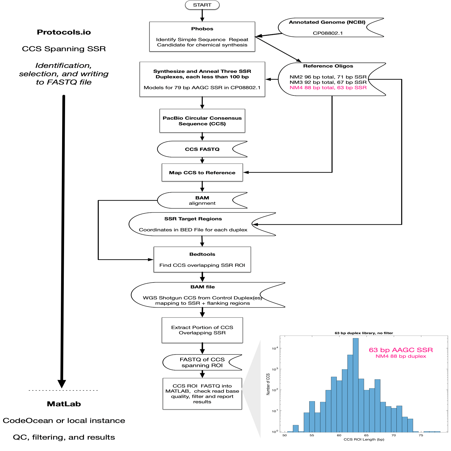 Steps To Create Fastq Of Ccs Overlapping Control Ssr Ccs Roi