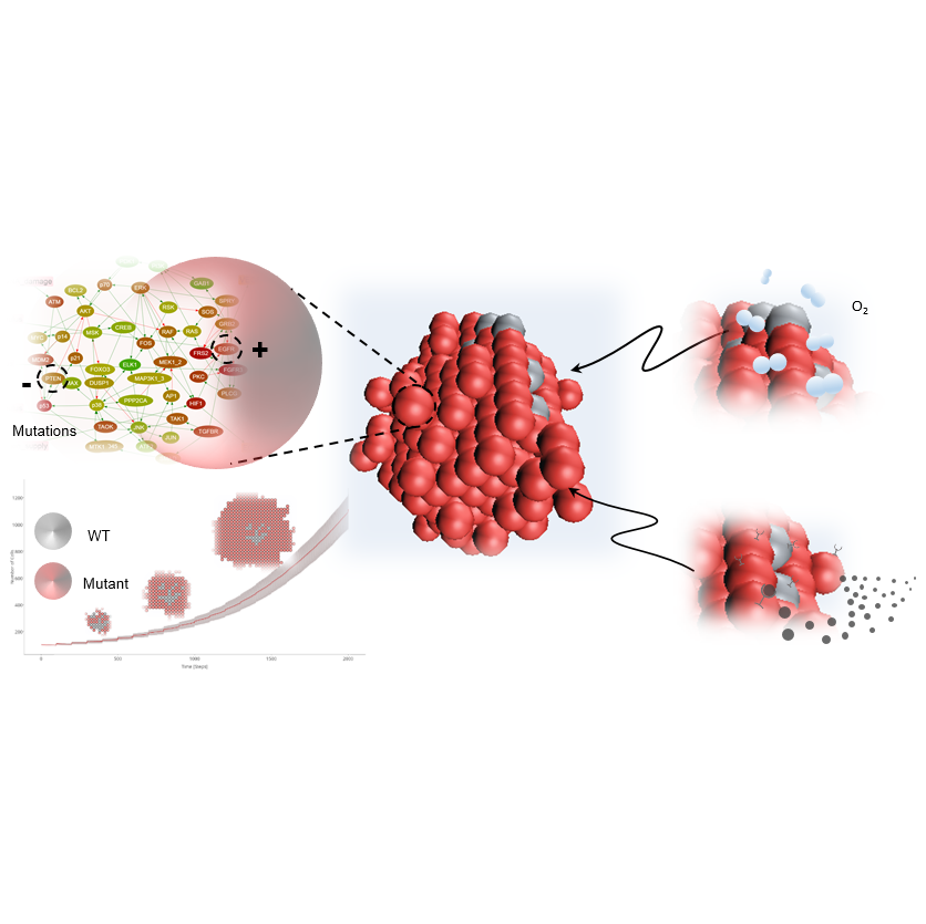 Microc Protocol 0611