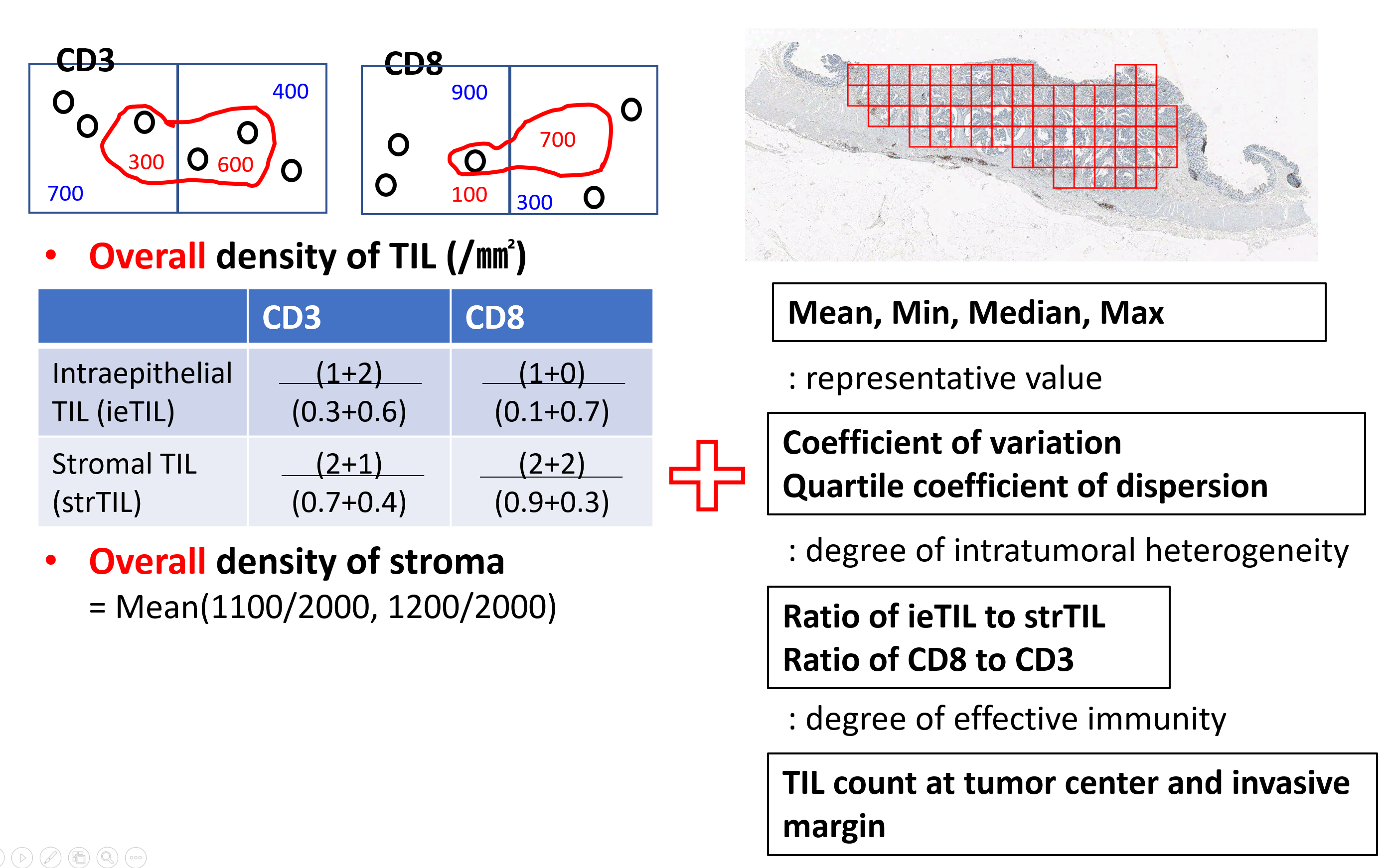 Quantitative whole-slide image analysis of CD3 and CD8 ...
