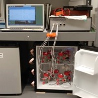 Bioelectrochemistry protocol For CHI Potentiostat