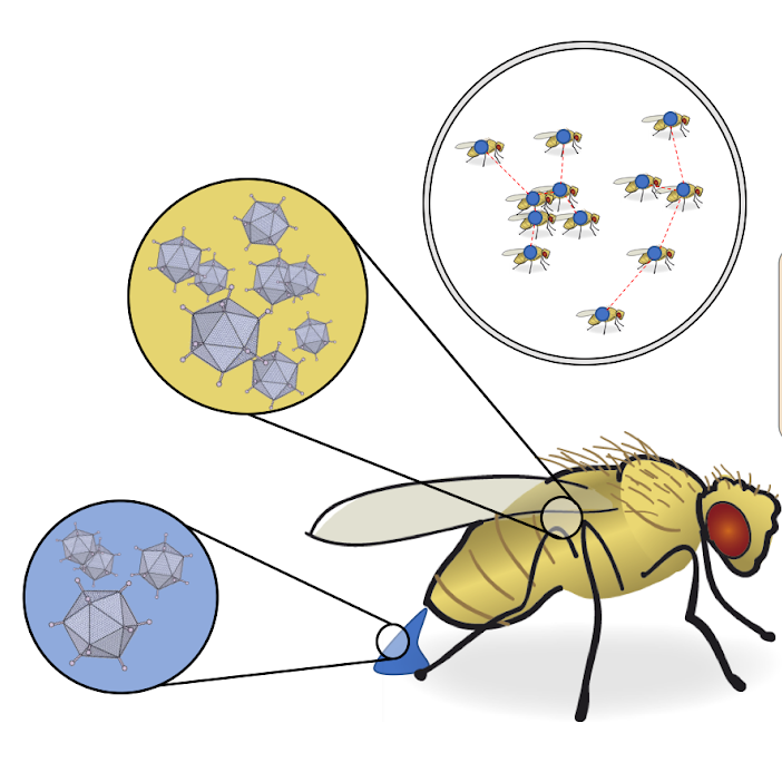 Vale Lab publications