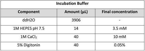 CUT&RUN: Targeted in situ genome-wide profiling with high efficiency ...