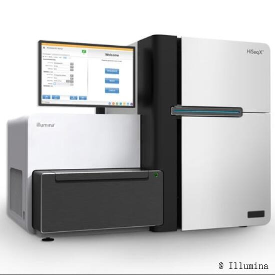 The Illumina libraries preparation for the Scapharca broughtonii