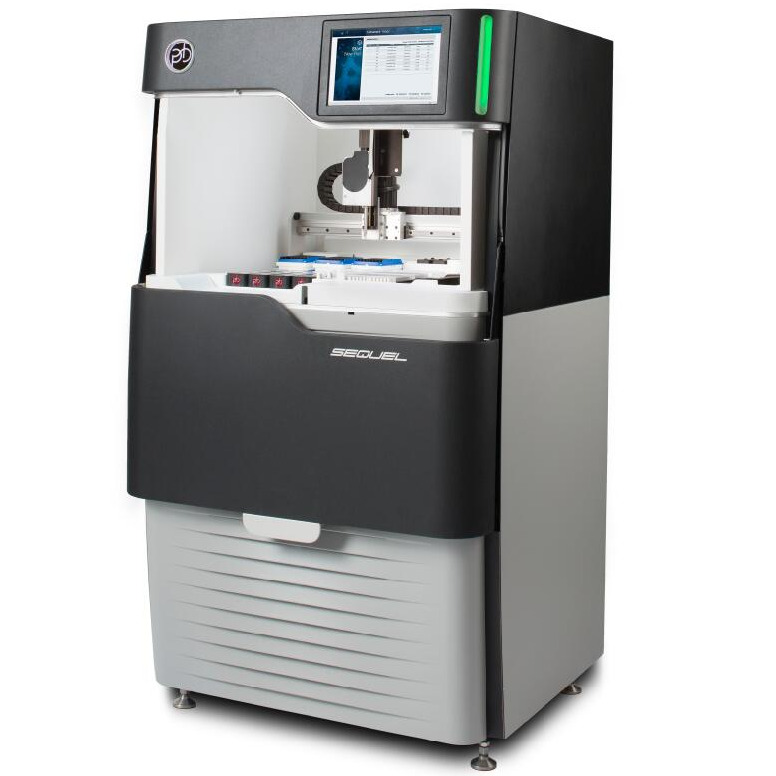 The PacBio libraries preparation for the Scapharca broughtonii.