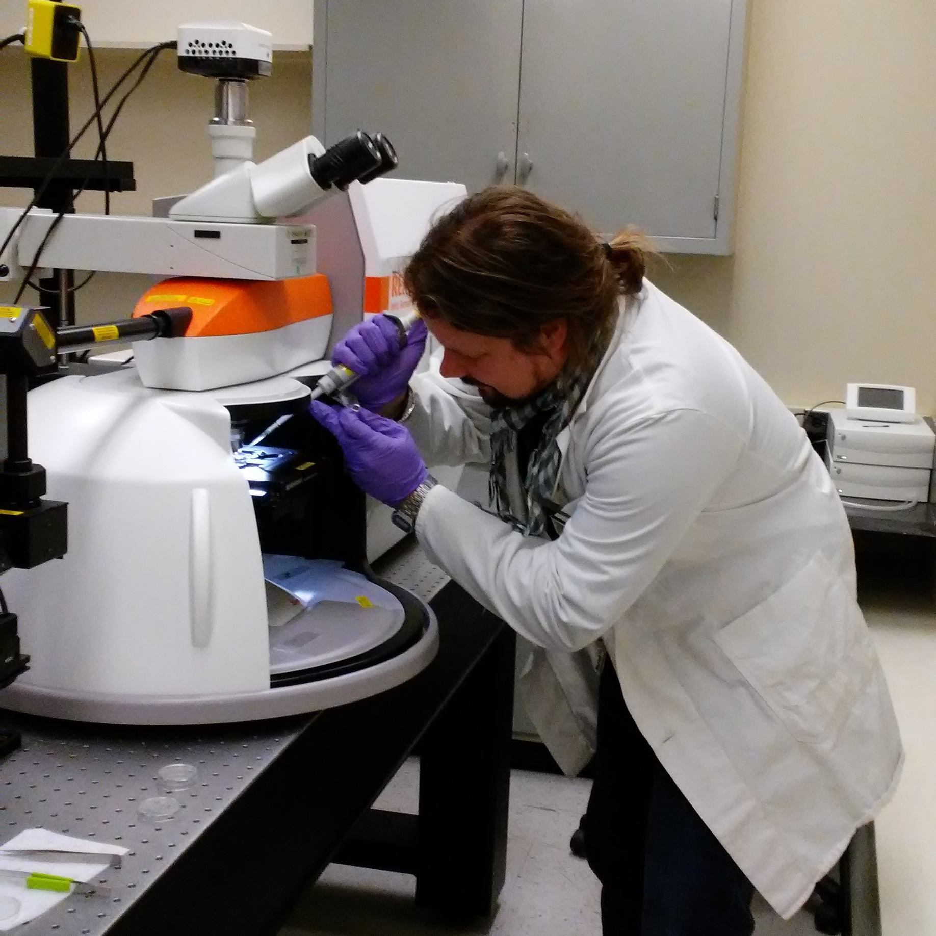 Sample Preparation for 3D-Raman Microspectroscopic Mapping of Fully ...