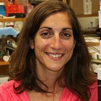 Danielle Gutierrez on protocols.io