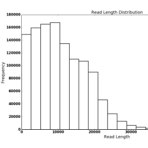 High quality DNA from Fungi for long read sequencing e.g. PacBio