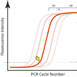 Aichivirus real-time RT-PCR 2007 method