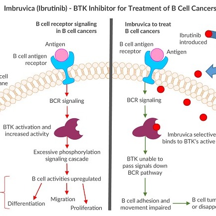 The clinical efficacy of BTK inhibitors in the treatment of CLL