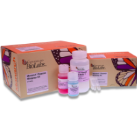 Quick Protocol for Monarch® Plasmid Miniprep Kit (NEB #T1010)