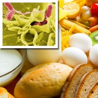 The abundance and taxonomy of microbes in our meals for three diet types