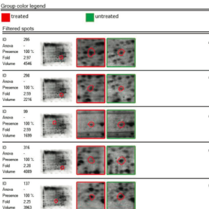 2DE Gel Detection on the Odyssey Infrared Imaging System