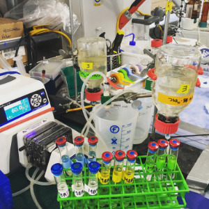 RNA Stable Isotope Probing Experimental Set Up