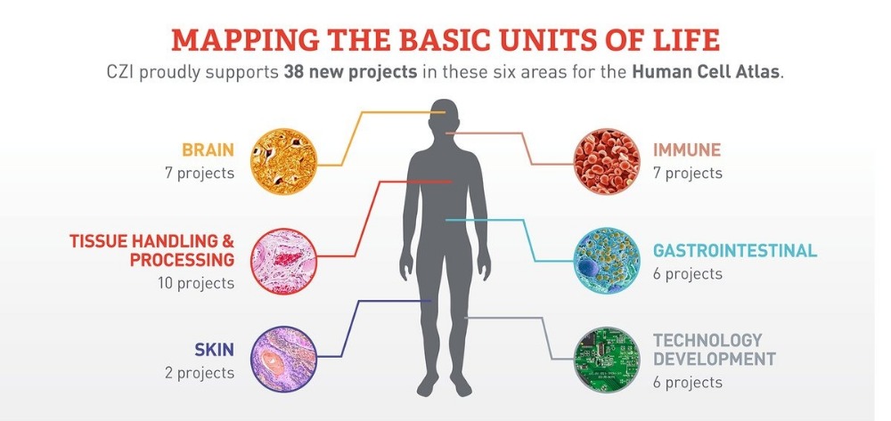 38 Human Cell Atlas Pilot Projects Funded by Chan Zuckerberg Initiative