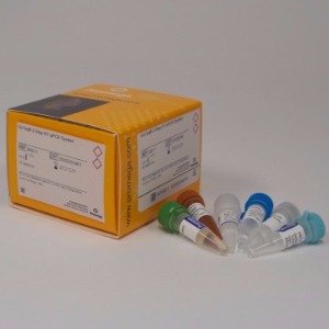 How to Setup and Perform a qPCR Experiment.