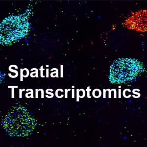 CZI Spatial Transcriptomics Protocol Repository - research workspace on ...