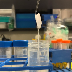 Ultra-long read sequencing protocol for Oxford Nanopore