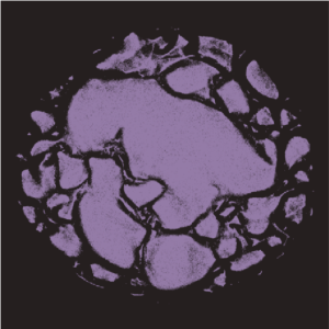 Satija Lab - research workspace on protocols.io