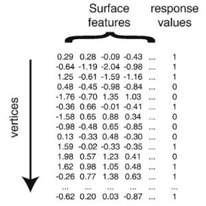 MELD Protocol 5 - Post-processing Pipeline