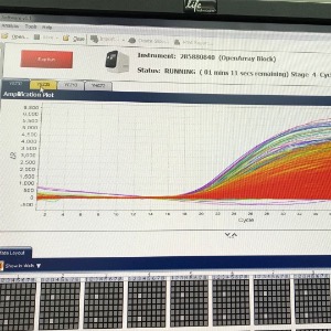 Genotype with Quant Studio™ 12K Flex protocol