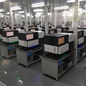 BGISEQ-500 （DNBSEQ-G50） Sequencing