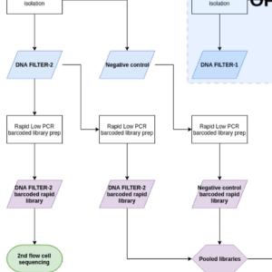 ONT Library Preparation
