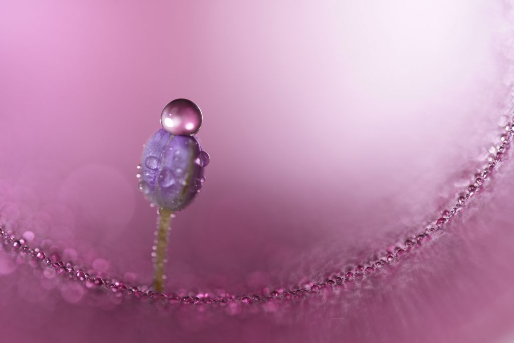 the unique nano ar coating ii applies a uniform thin