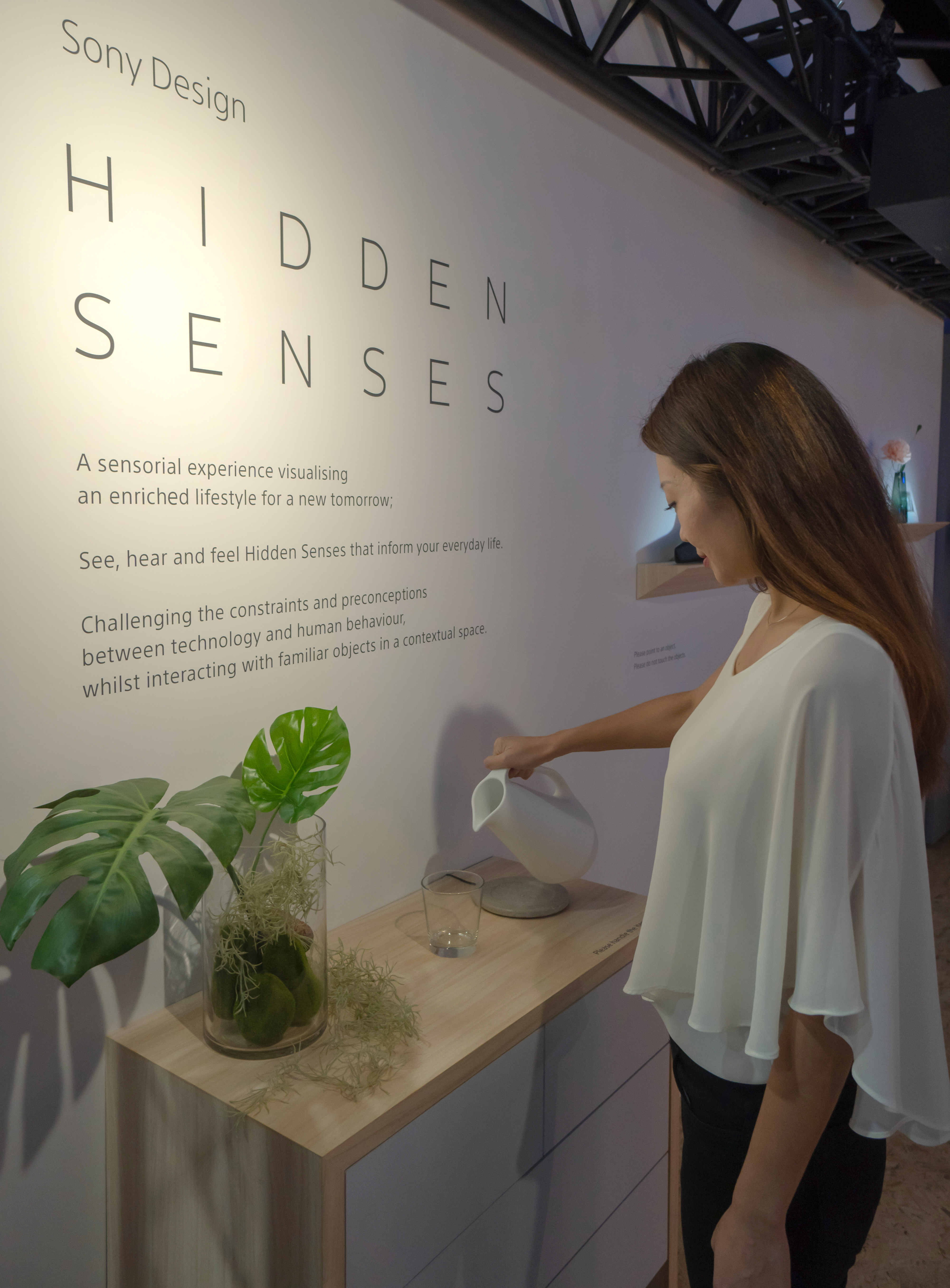 hidden senses sg 009 ed