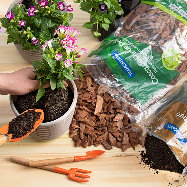 Blog | What is substrate and how important is it for cultivation ...