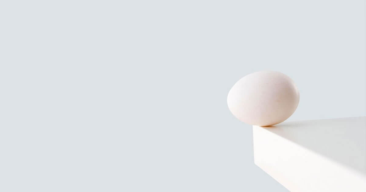 Paid Program: Investing to Power Your Wise Pivot