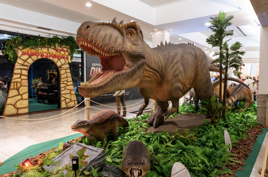 Patio Savassi: Tracking na ativação integrada do mall - Prêmio ABRASCE