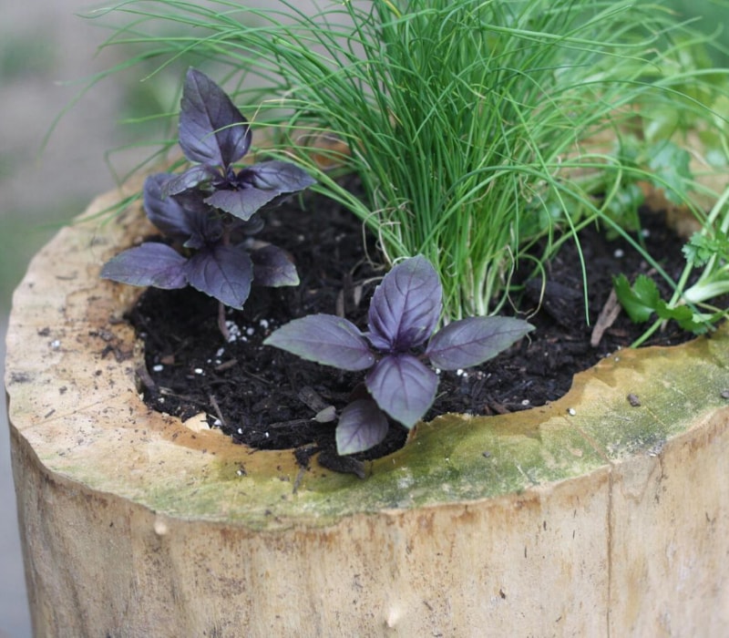 25 Sustainable DIY Garden Projects - House & Homestead