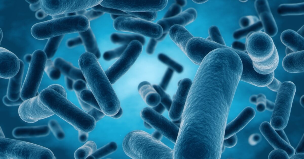 PrimeGlobal | COVID 19 and What to Do About It (Manning Elliott)