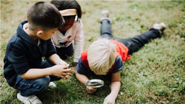 Science Curriculum | K-12 Science Programs | Houghton Mifflin Harcourt