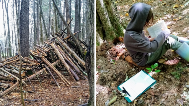7 Outdoor Teaching Strategies | HMH