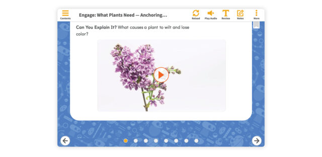 Next Generation Science Standards (NGSS) Crosscutting Concepts ...