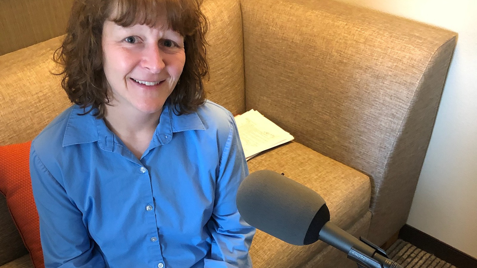 Podcast: Teachers in America | Houghton Mifflin Harcourt