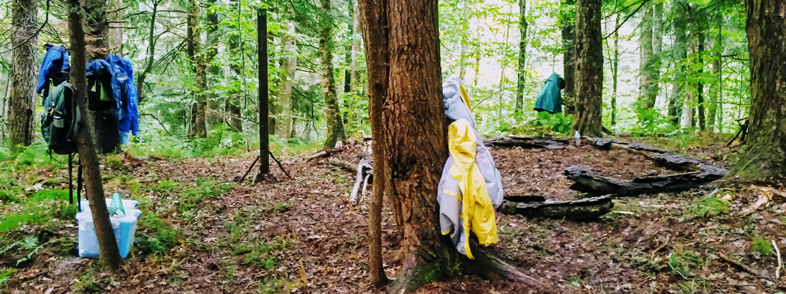 7 Outdoor Teaching Strategies | Houghton Mifflin Harcourt