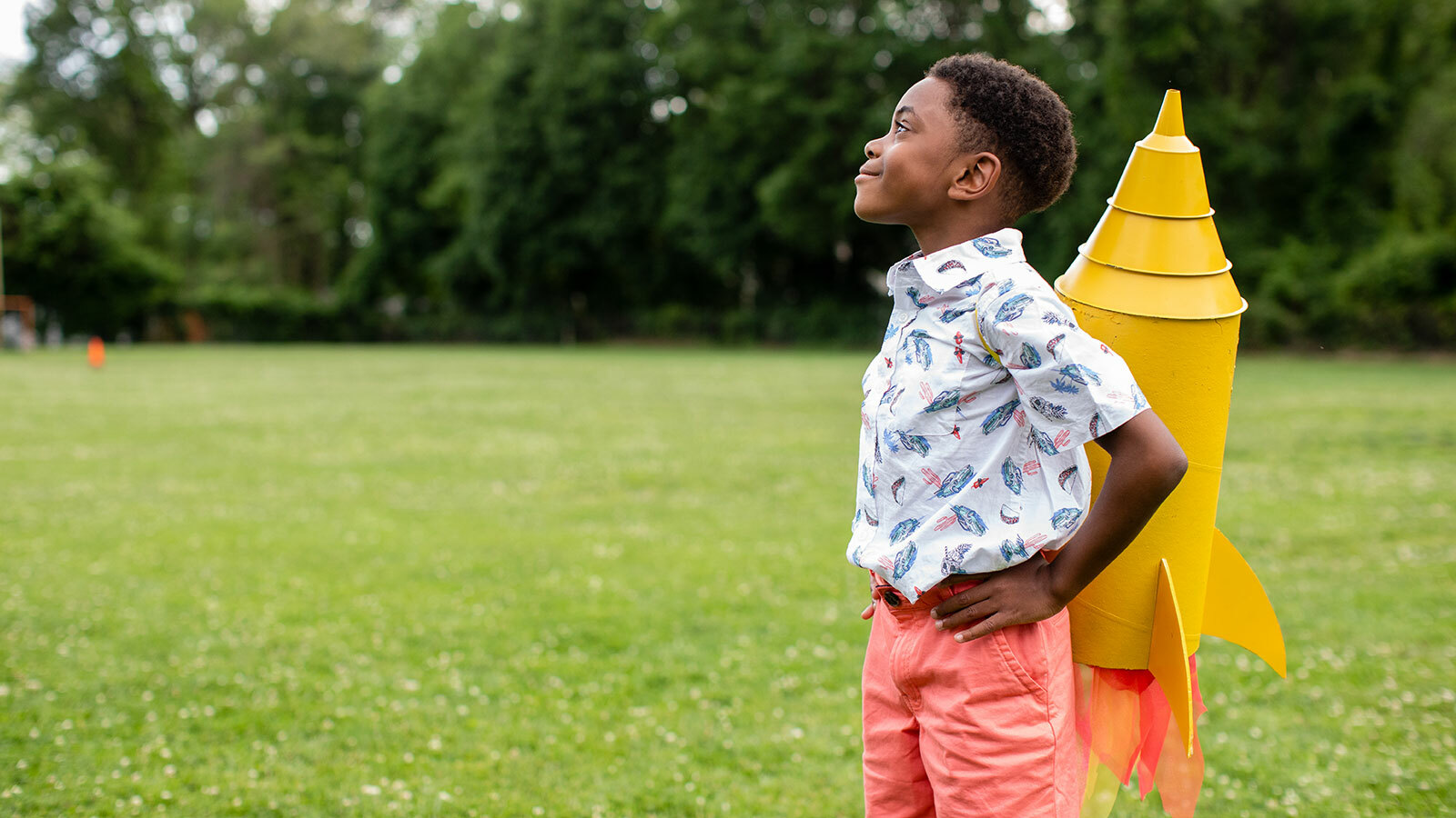 7 End-of-Year Science Activities | Houghton Mifflin Harcourt