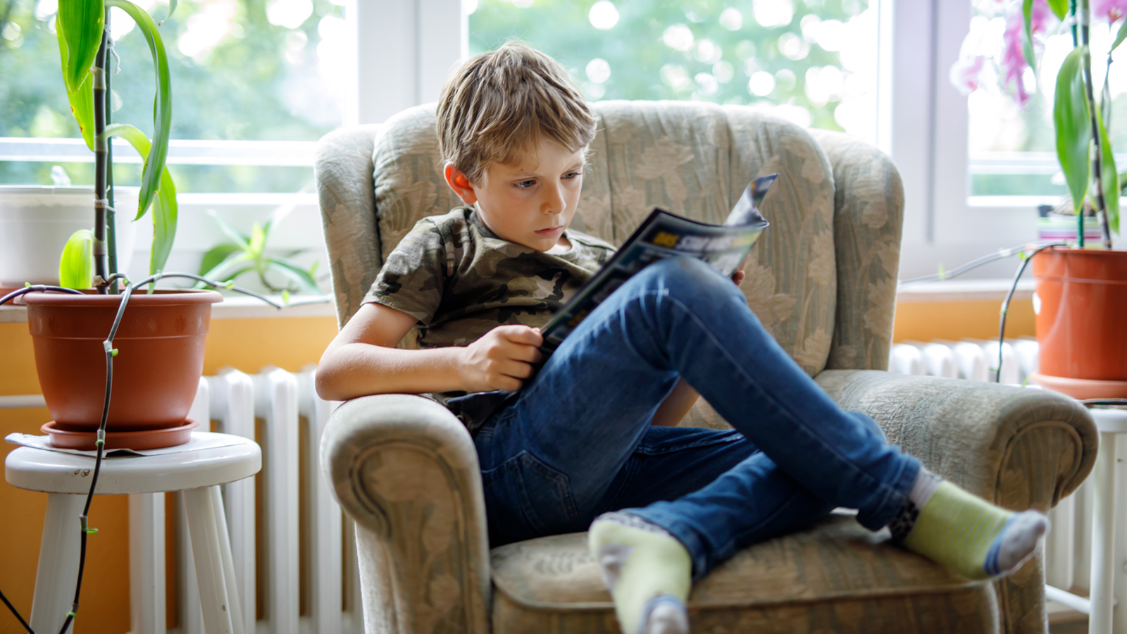 How To Create A Good Study Environment At Home Houghton Mifflin Harcourt