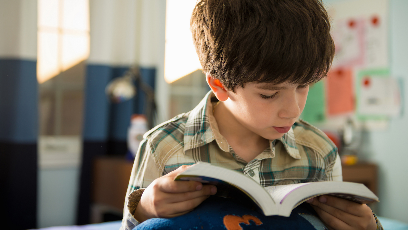 Shaped Blog | Houghton Mifflin Harcourt