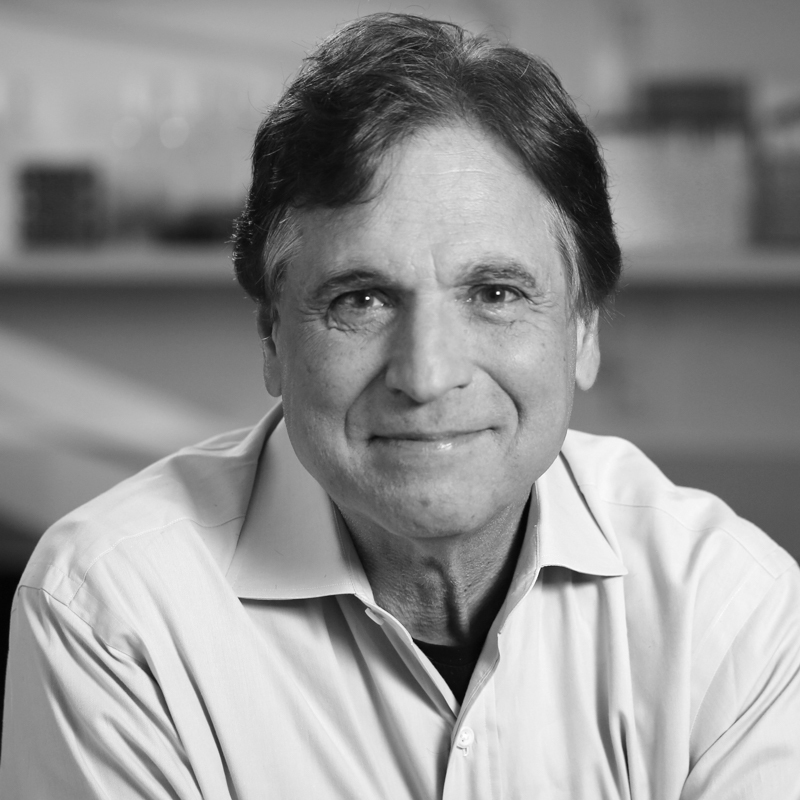 Michael DiSpezio, Author, ScienceFusion and HMH Science Dimensions ...