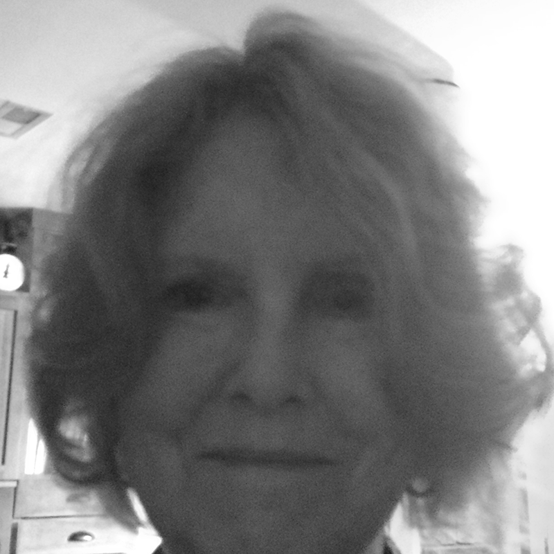 Dr. Terry Salinger, Institute Fellow and Chief Scientist for Literacy ...