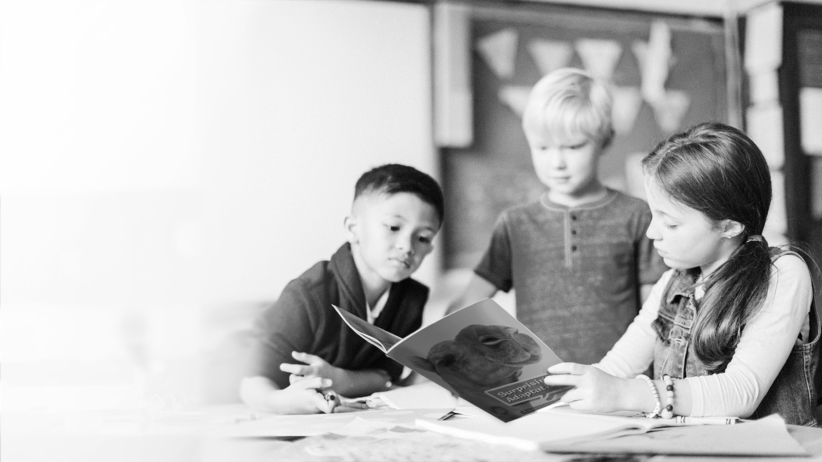 Science & Engineering Leveled Readers | K-5 Leveled Reading Books ...