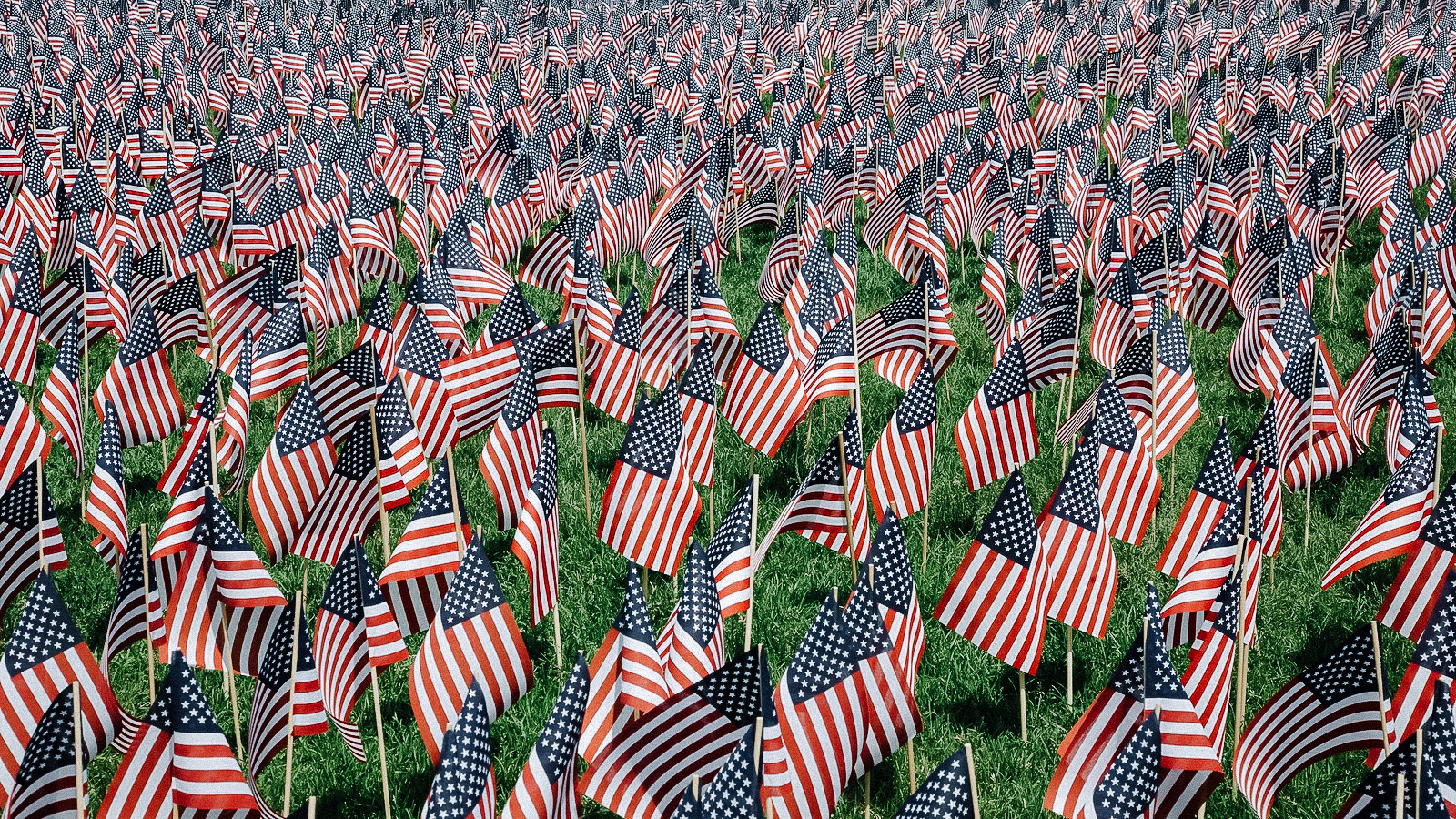 Flag Day Activities For Elementary Students Houghton Mifflin Harcourt Flag Day Activities For Elementary Students Houghton Mifflin Harcourt